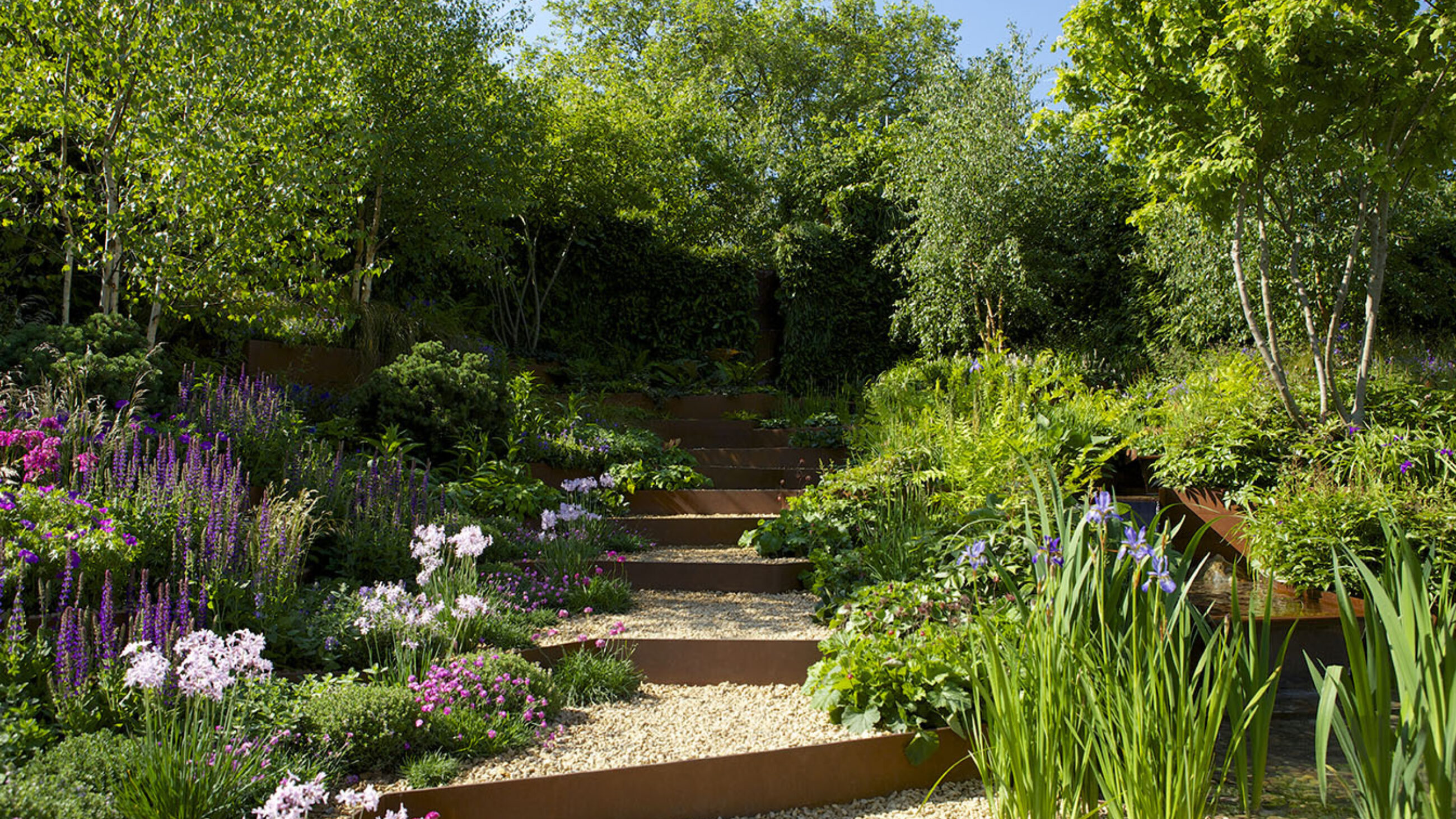 A Garden for First Touch at St George's - Landscape Associates