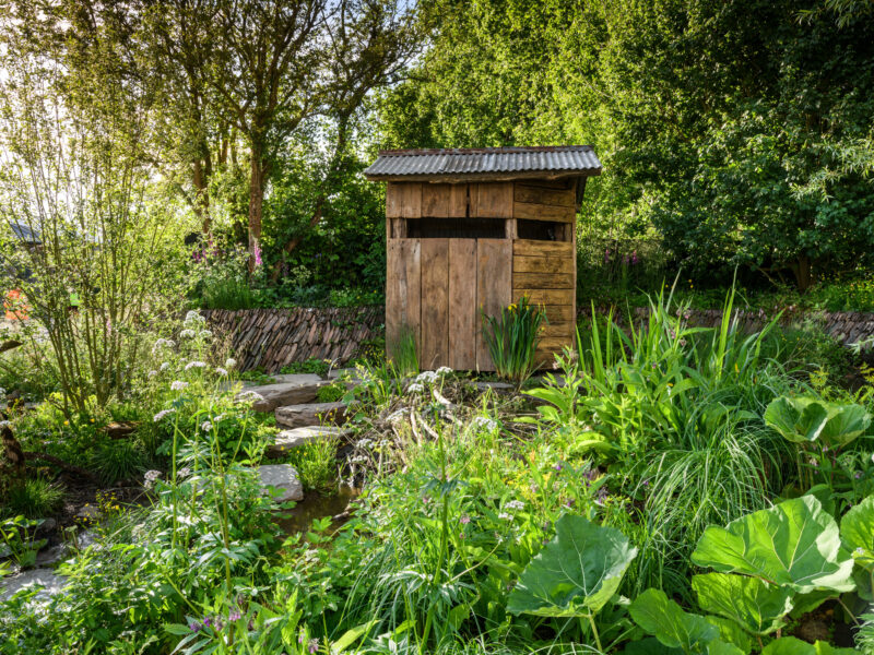 A Rewilding Britain Landscape - Landscape Associates