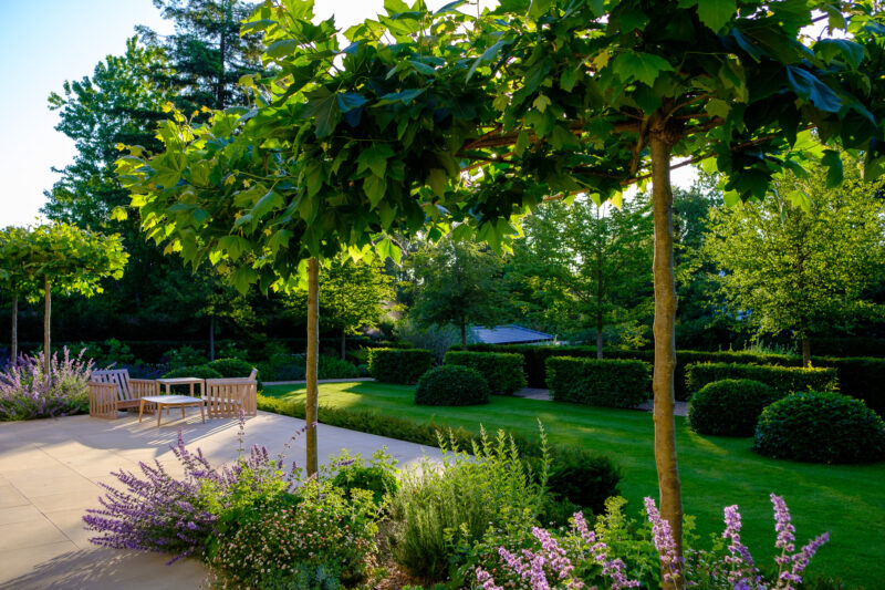 Esher Family Garden - Landscape Associates