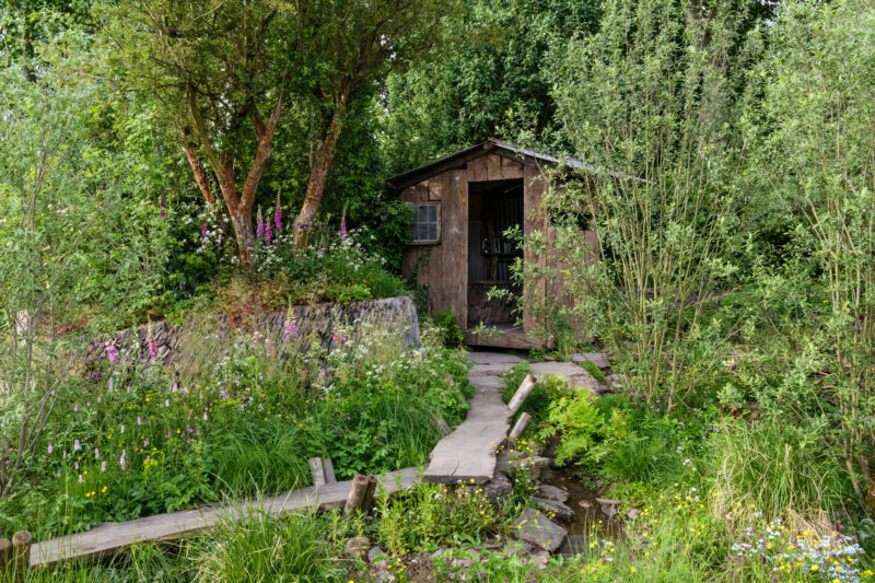 A Rewilding Britain Landscape - Landscape Associates